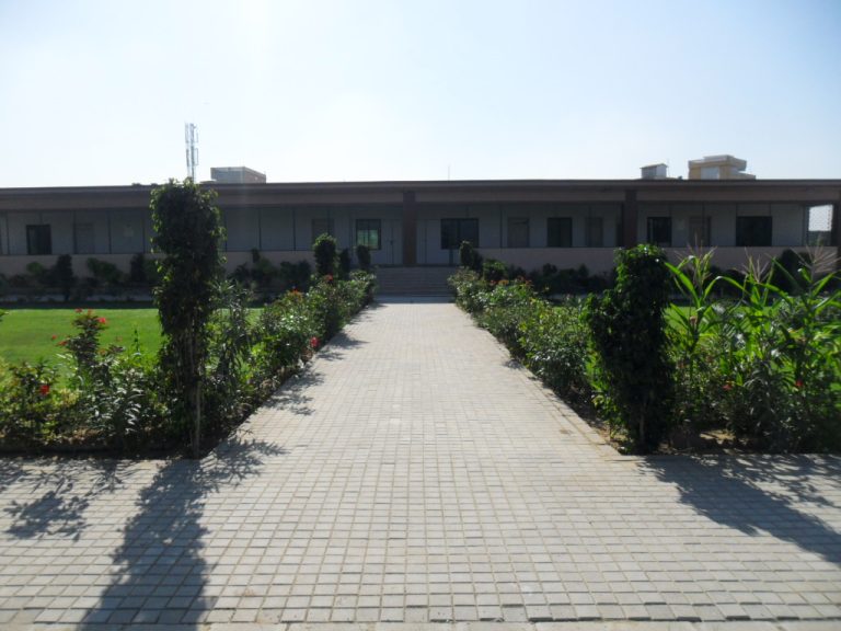 MAS Holdings – Civil & MEP Engineers